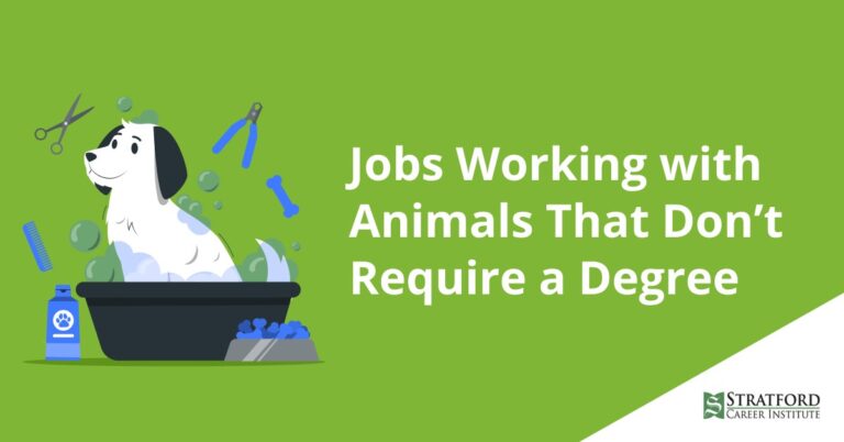 11 Jobs Working with Animals That Don’t Require a Degree | Enroll Now
